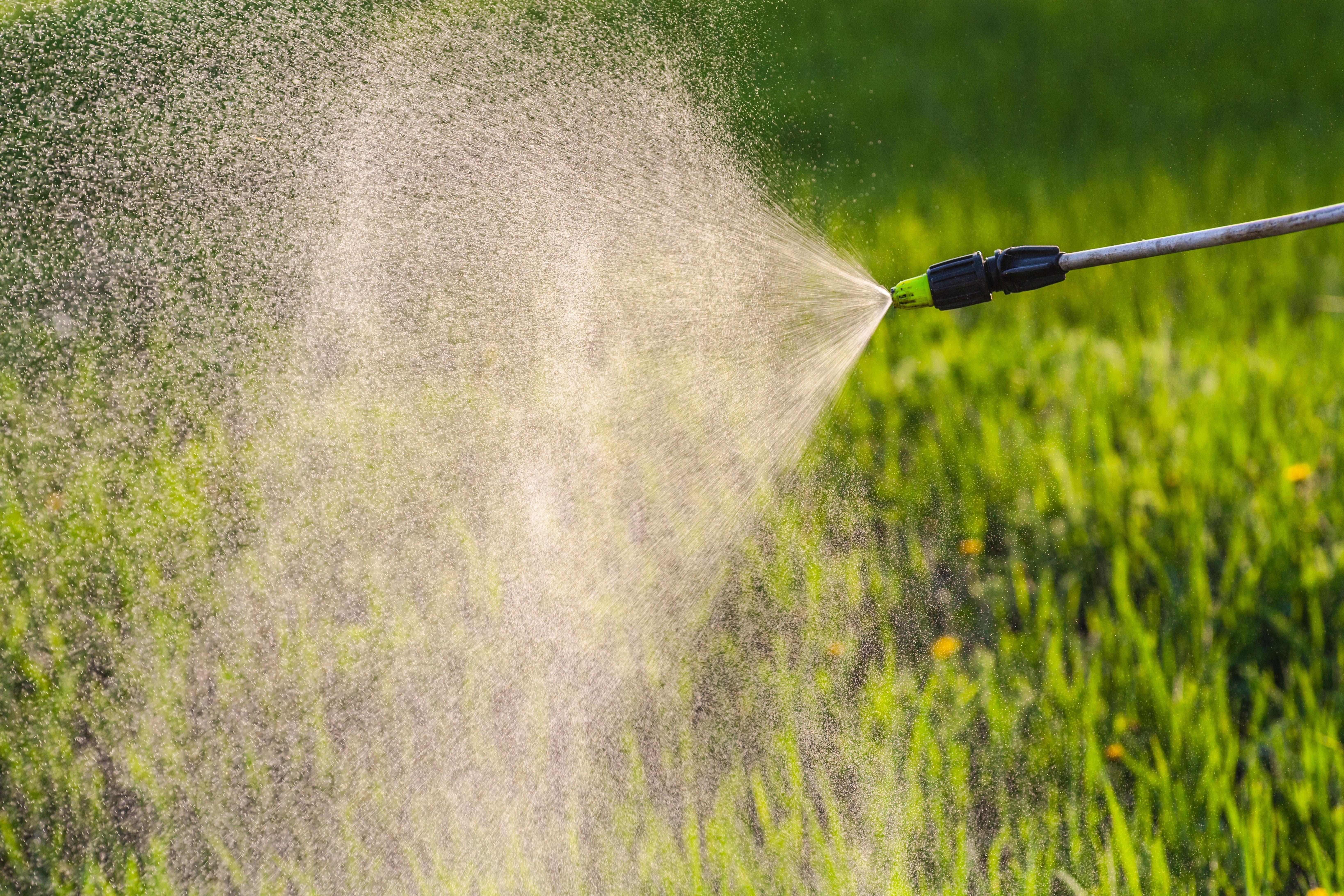 Exploring Slow-Release vs. Fast-Release Fertilizers: Key Differences ...