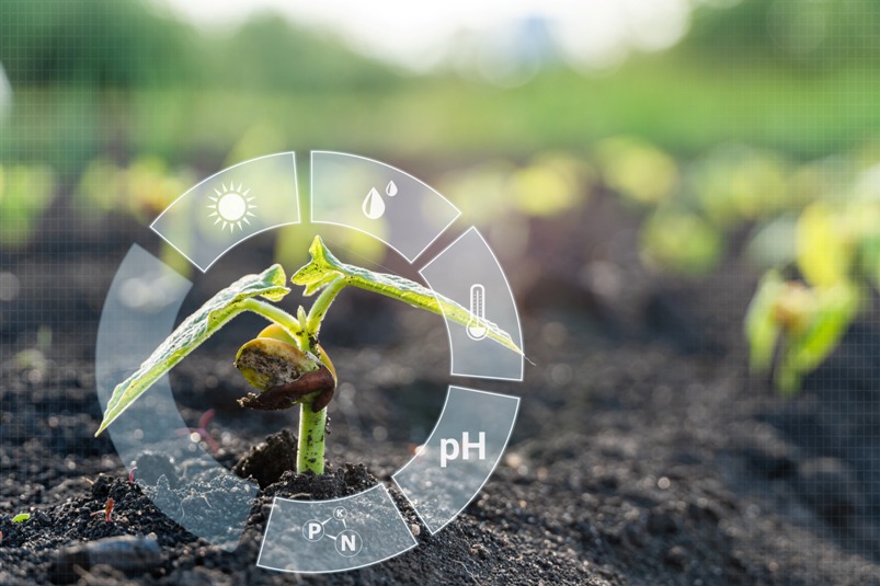 Optimizing Lawn Health: Mastering Soil pH Management | Doehling ...